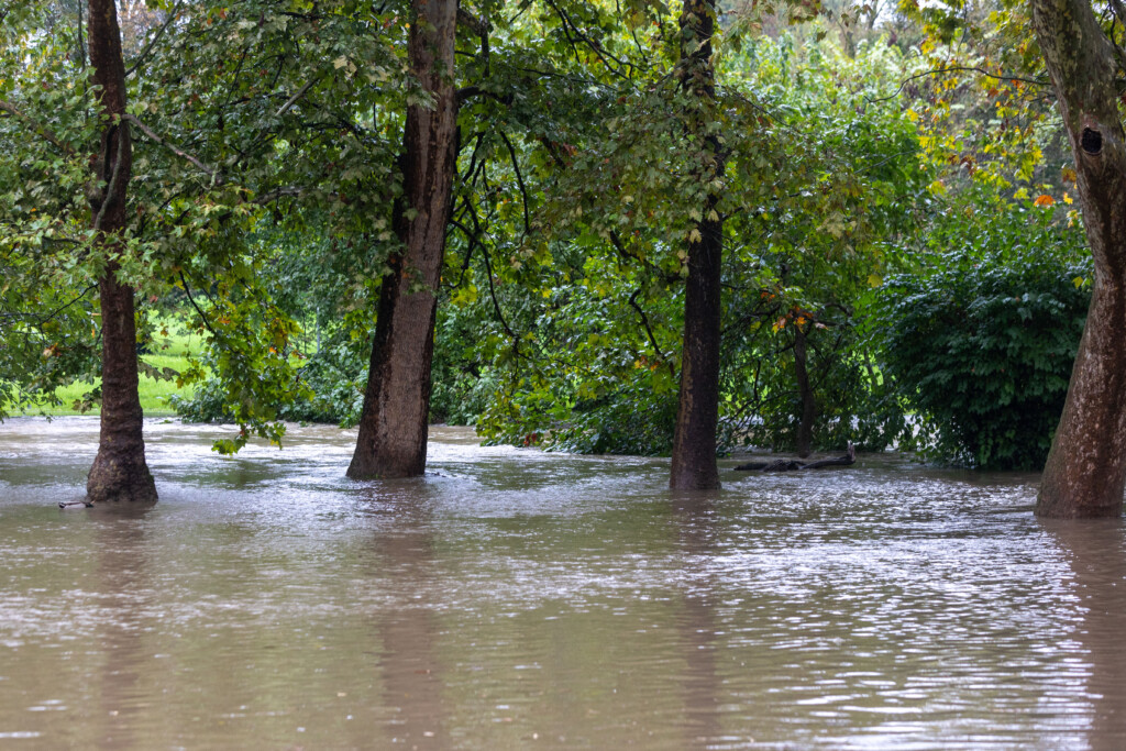 Bad weather: heavy rain in Milan, risk of flooding in Lambro - LaPresse ...