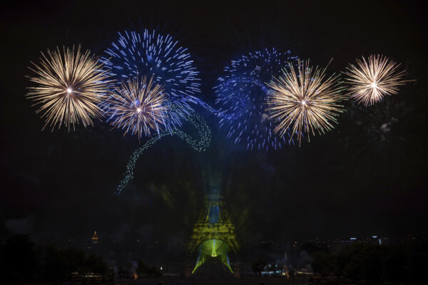 New Year's Eve: WWF appeal to local councils to stop fireworks and ...