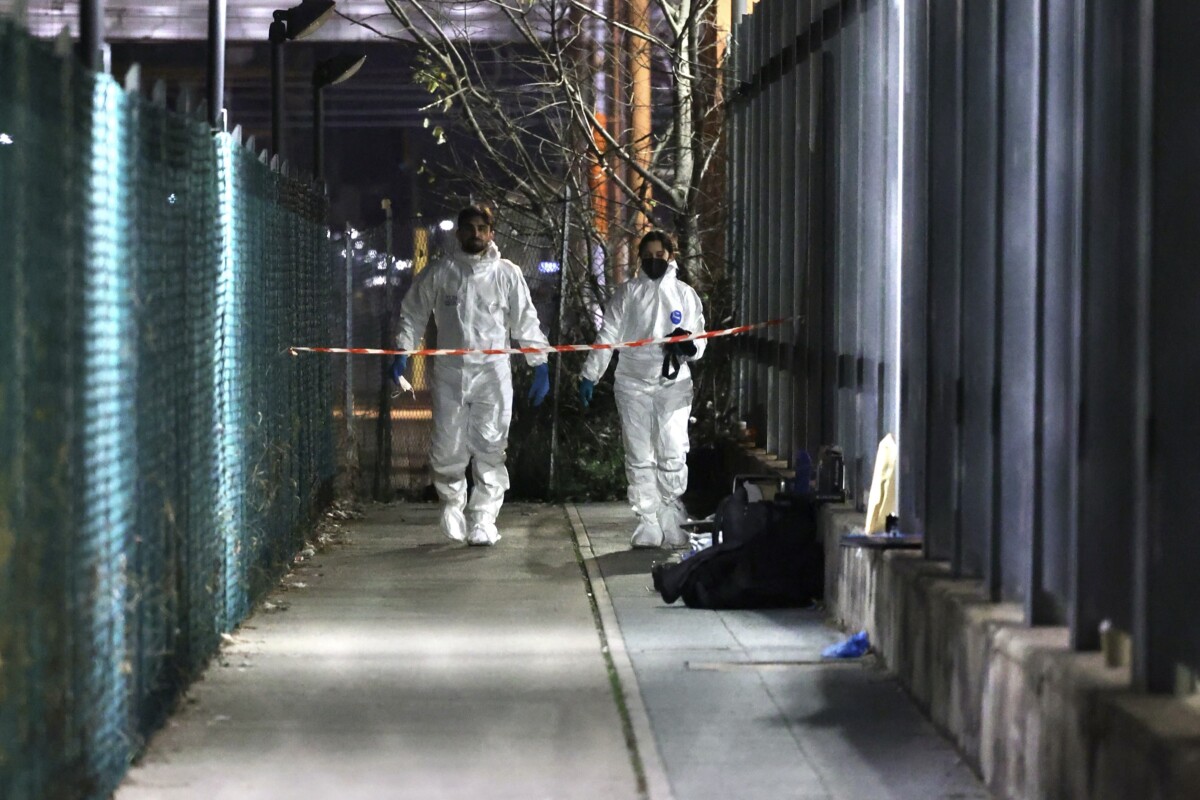 Bologna, train conductor murder: suspect arrested in Brescia area ...