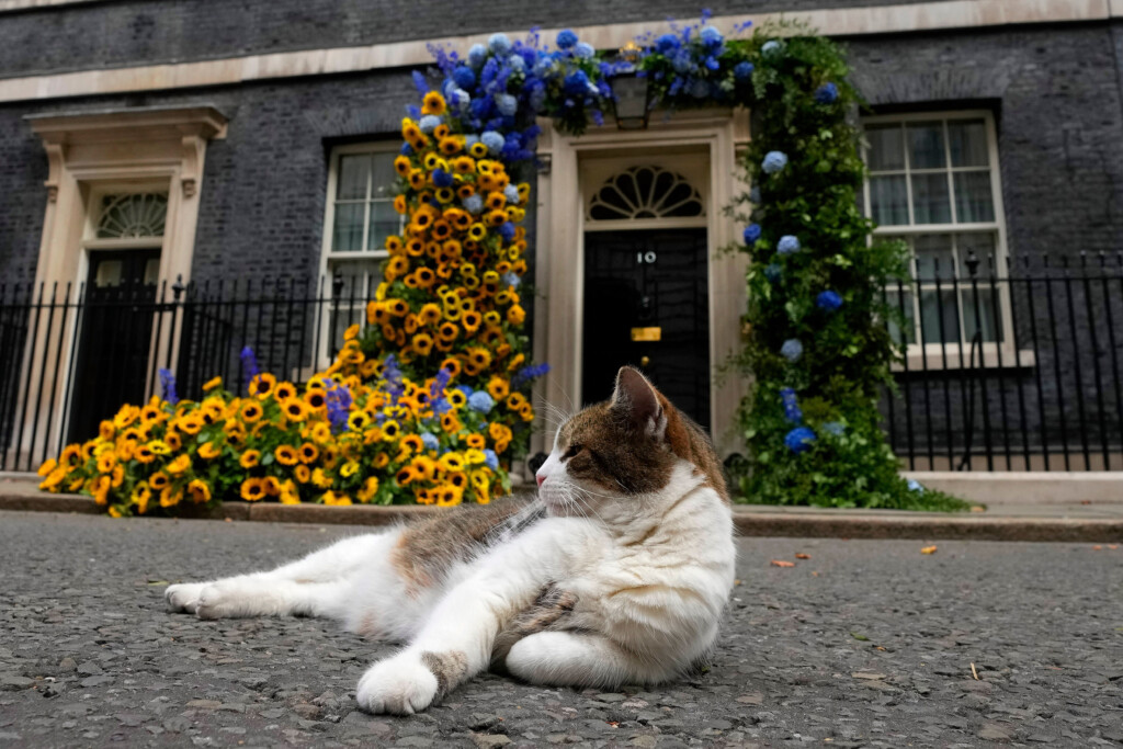 “Larry the Cat” has been at Downing Street for 15 years, brought there ...